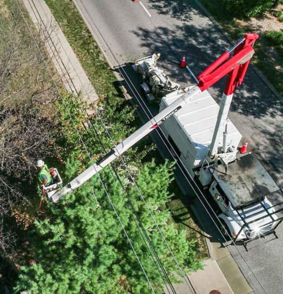 Forestry Truck Kit - Customizable Base Kit